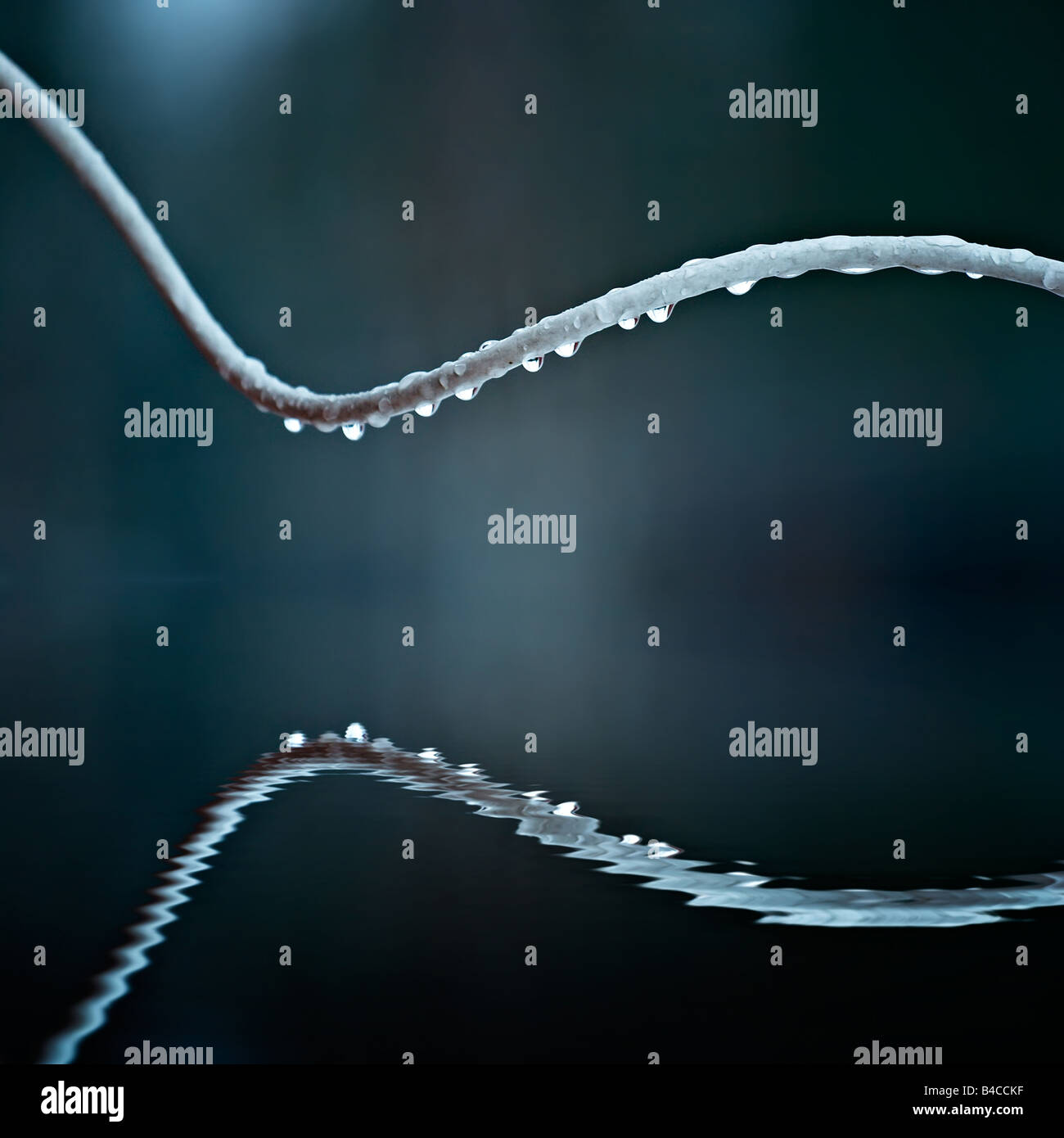 Cable with rain hi-res stock photography and images - Alamy