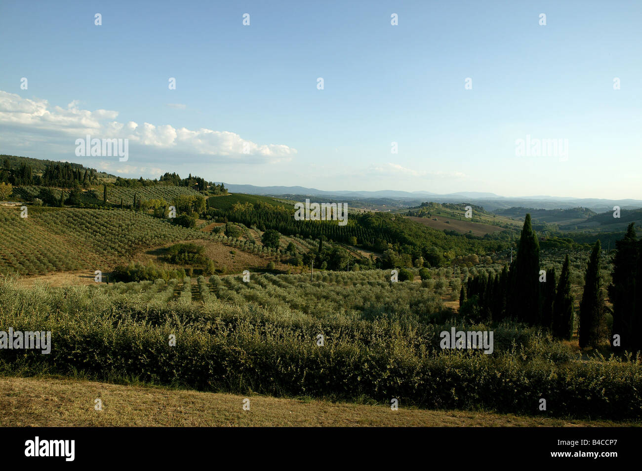 Italian chianti wine making region in southern Italy with hillsides ...