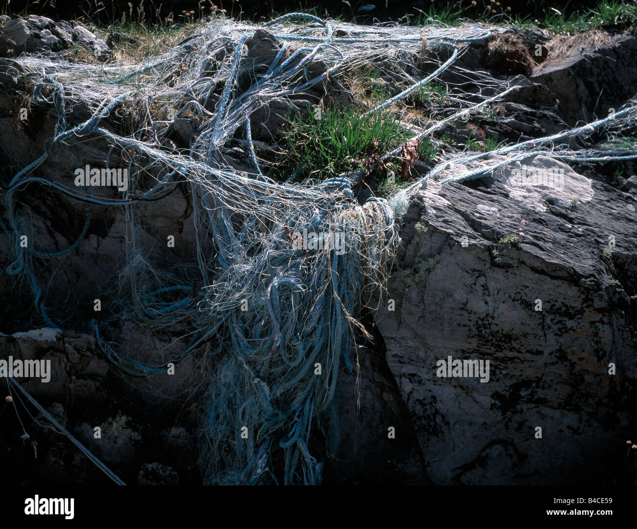 Washed up fishing nets hi-res stock photography and images - Alamy