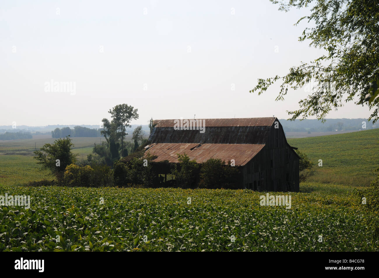 Old barn field hi-res stock photography and images - Alamy