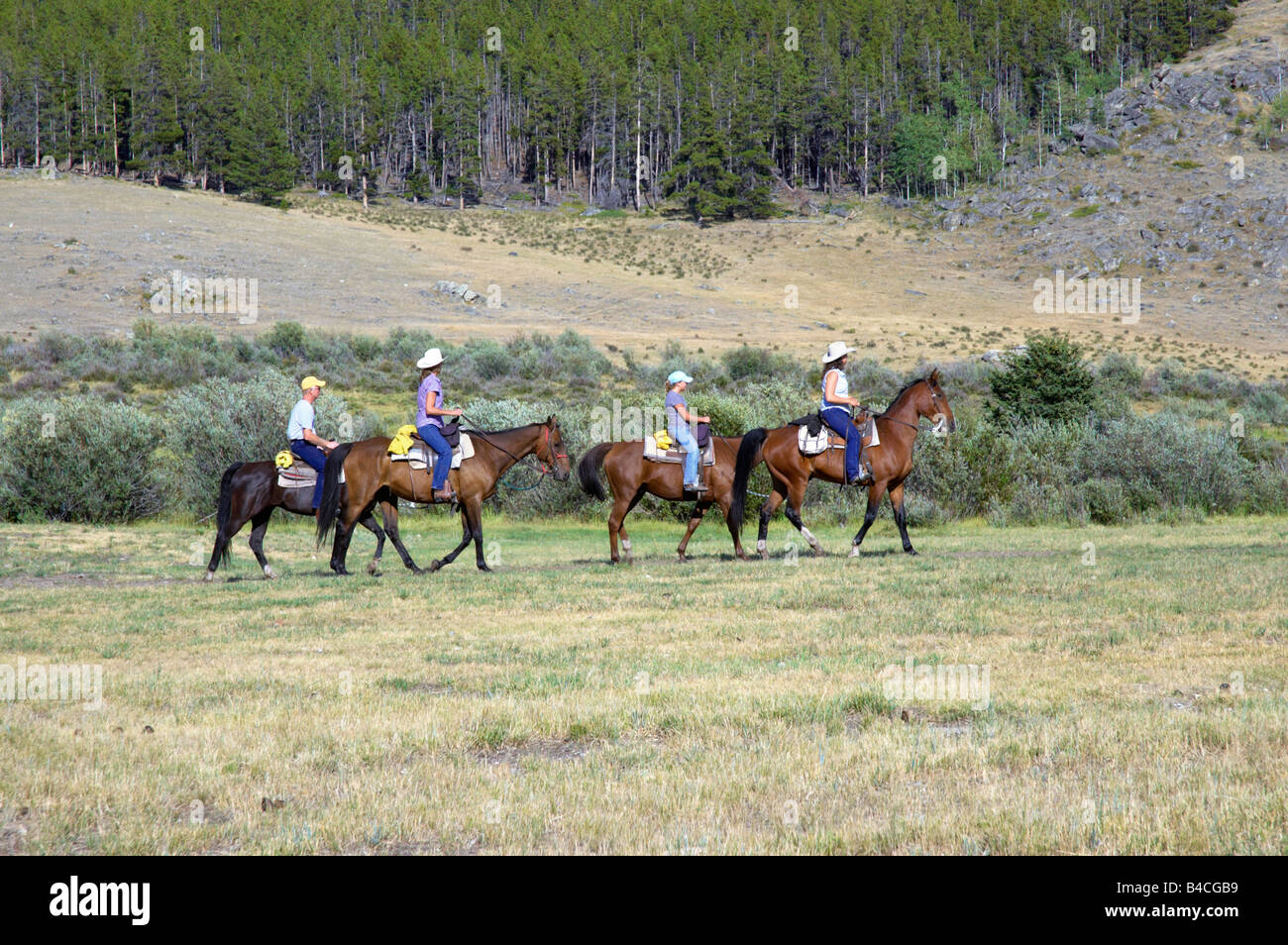 Horse trek usa hi-res stock photography and images - Alamy