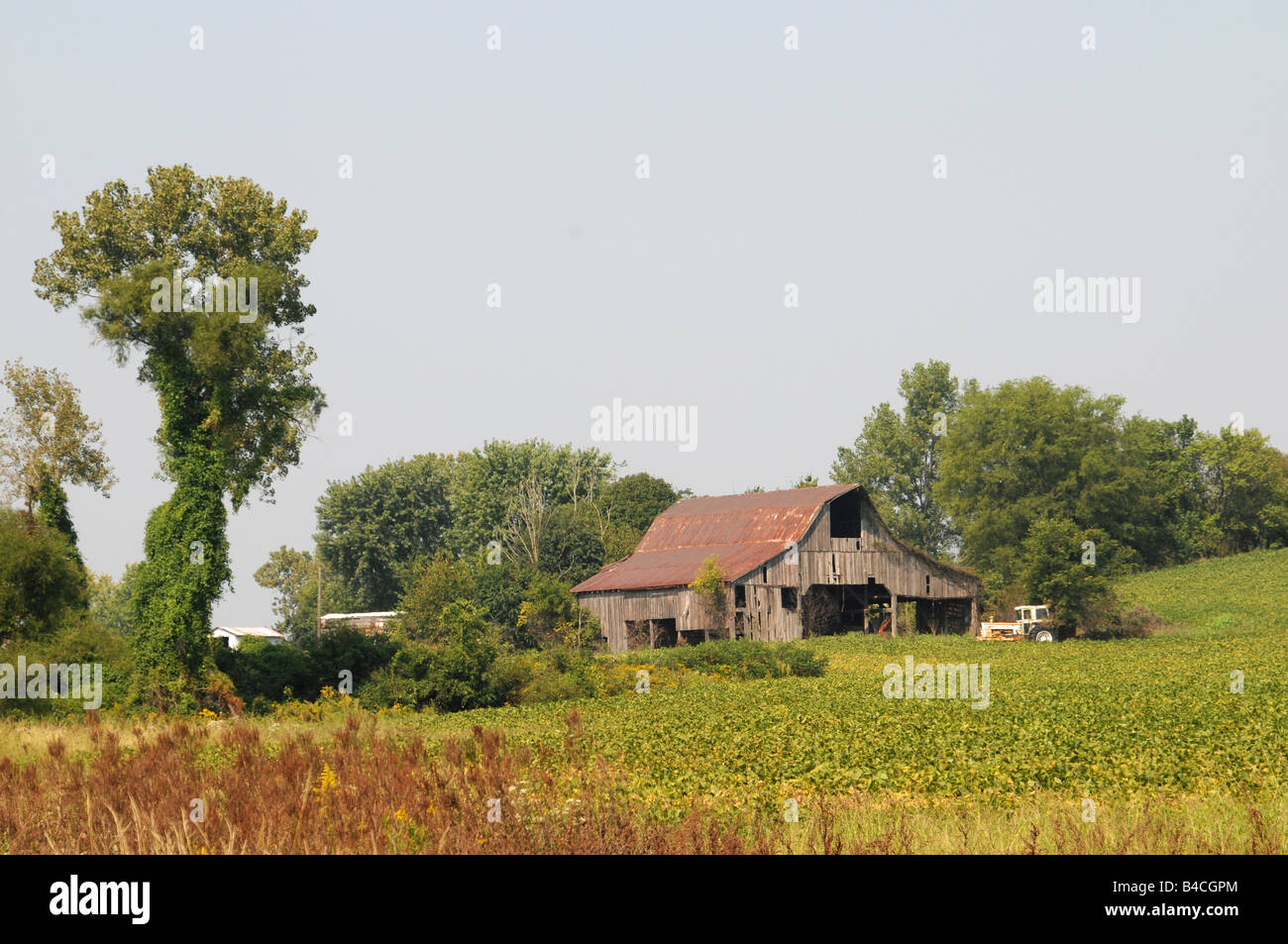 Farm scenes in Illinois with old rustic barn Stock Photo - Alamy