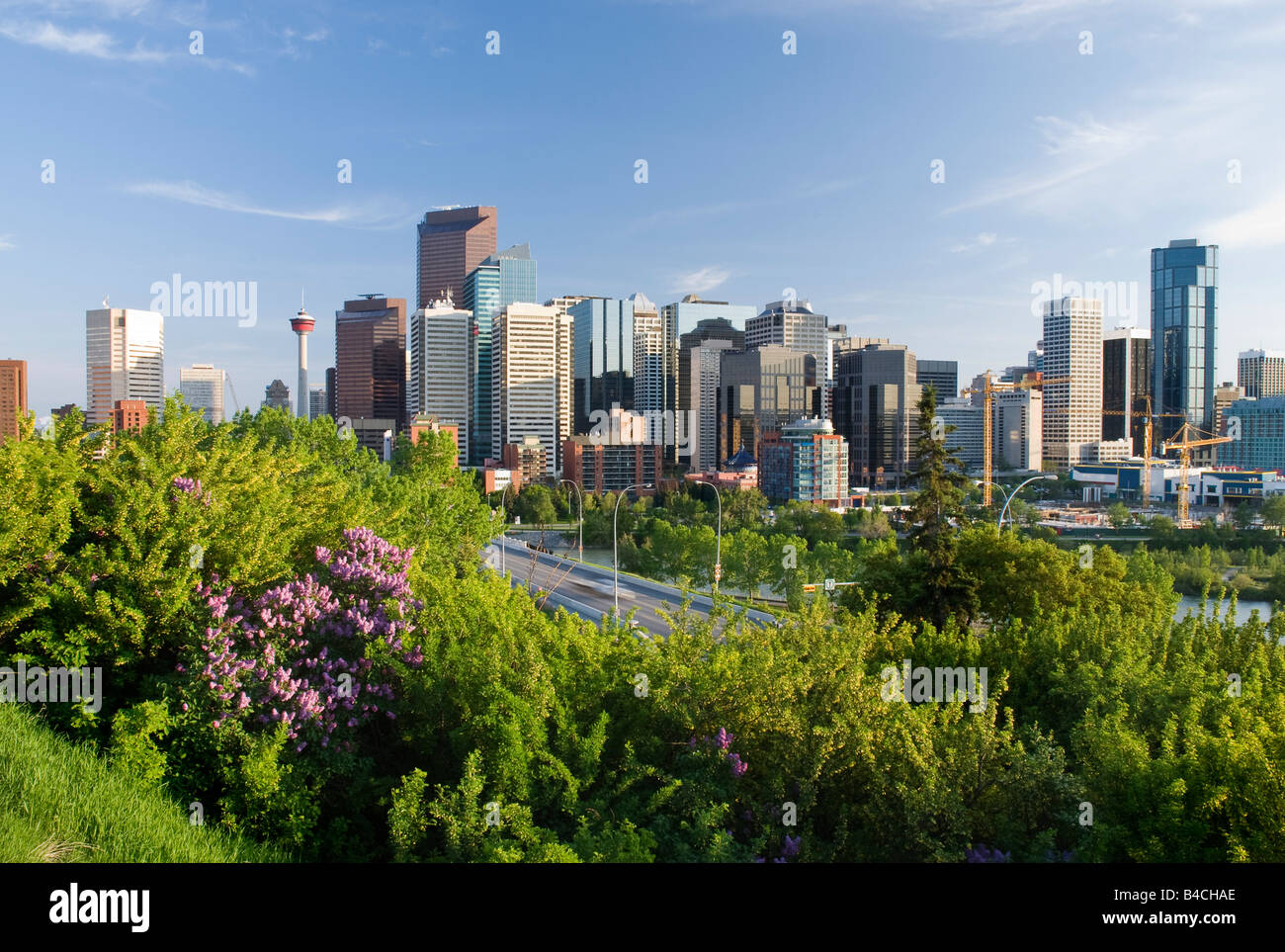 Calgary, Alberta, Canada Stock Photo - Alamy