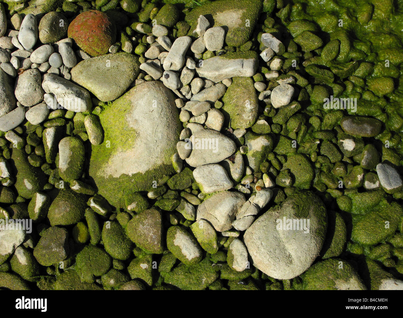 Close up rocks hi-res stock photography and images - Alamy