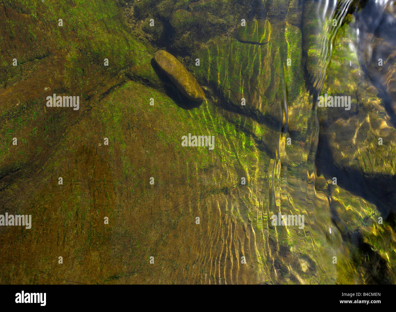 River close up concept Stock Photo - Alamy