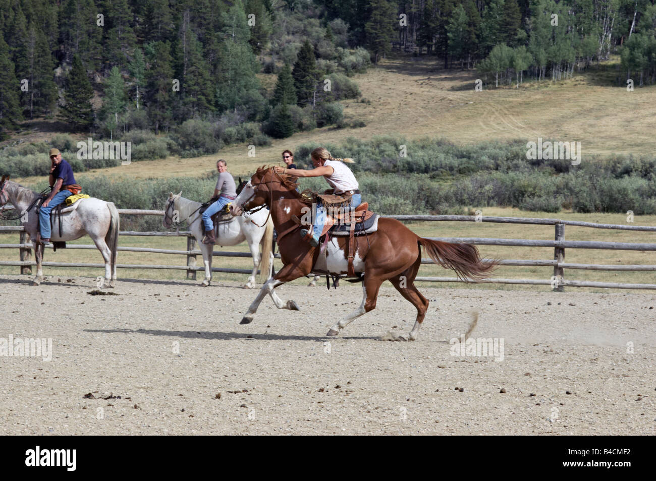 Female wrangler hi-res stock photography and images - Alamy