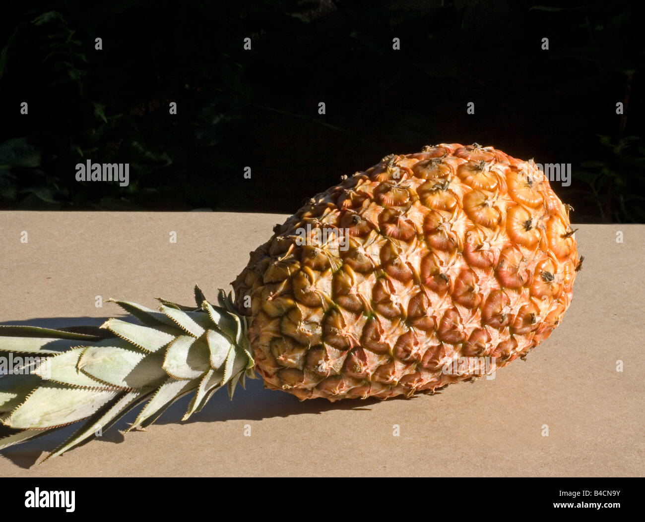 Juicy pineapple hi-res stock photography and images - Alamy