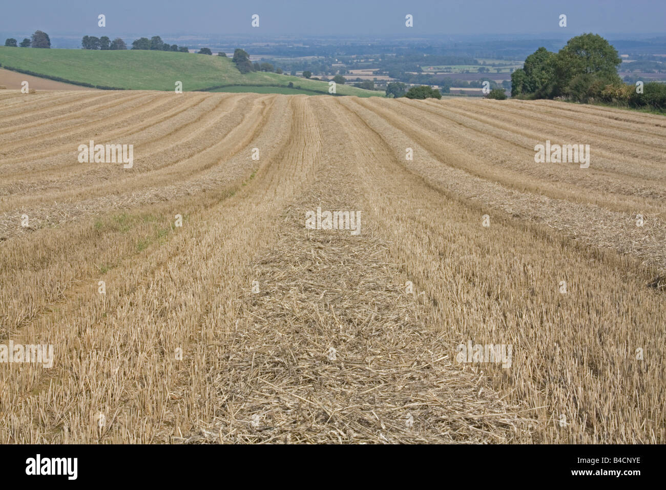 Lines of straw hi-res stock photography and images - Alamy