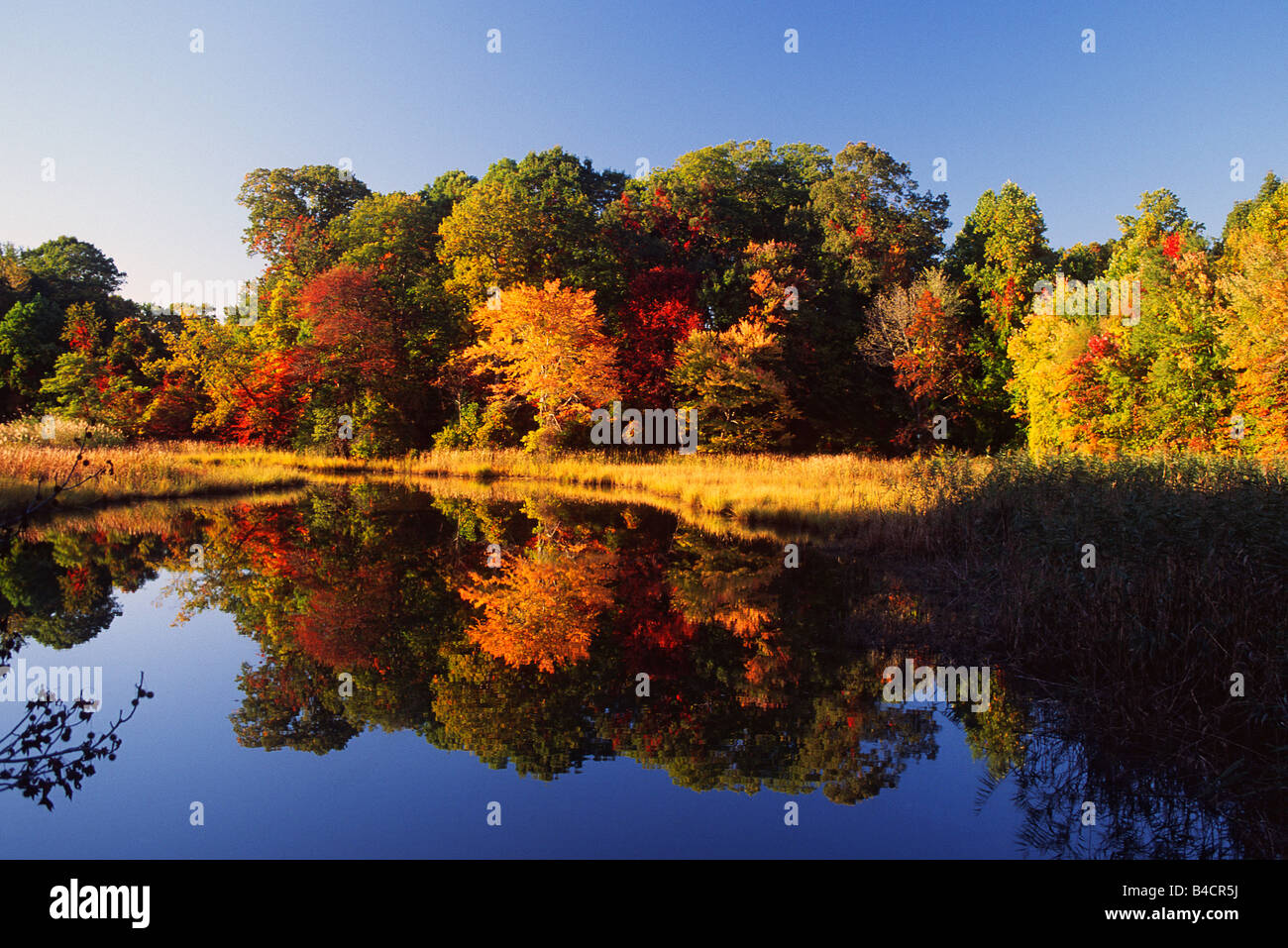 Fall colors reflect on the waters of Mill Creek a tributary of the ...