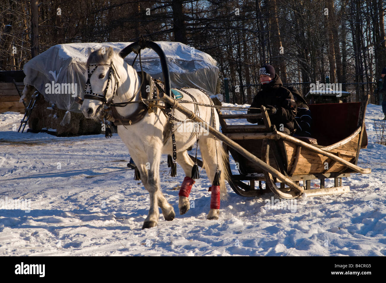 A man driving in an old-fashion wooden sledge in vicinity of Moscow ...