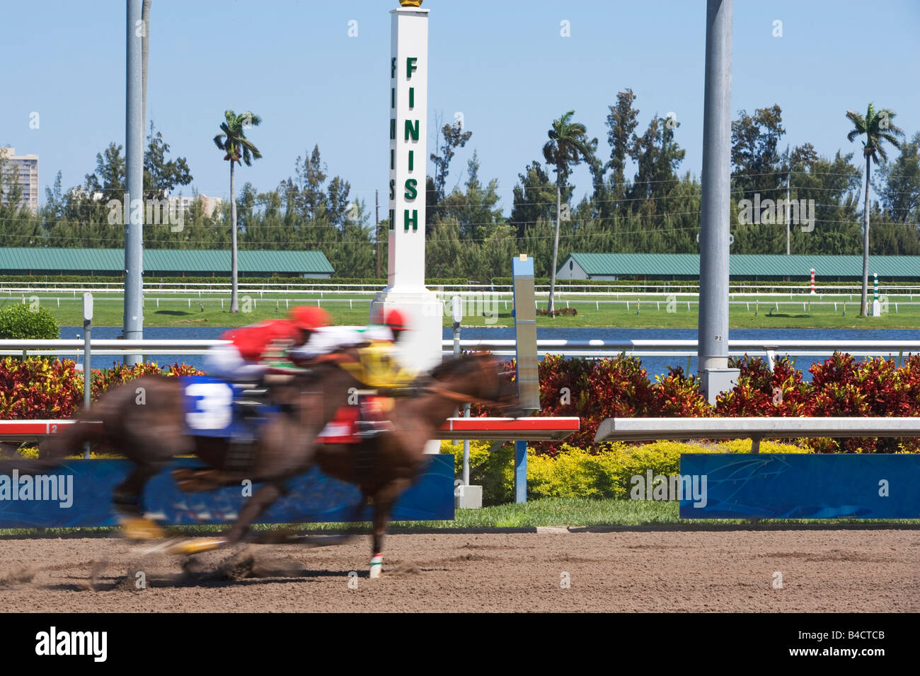 Horse cart racing america hi-res stock photography and images - Alamy