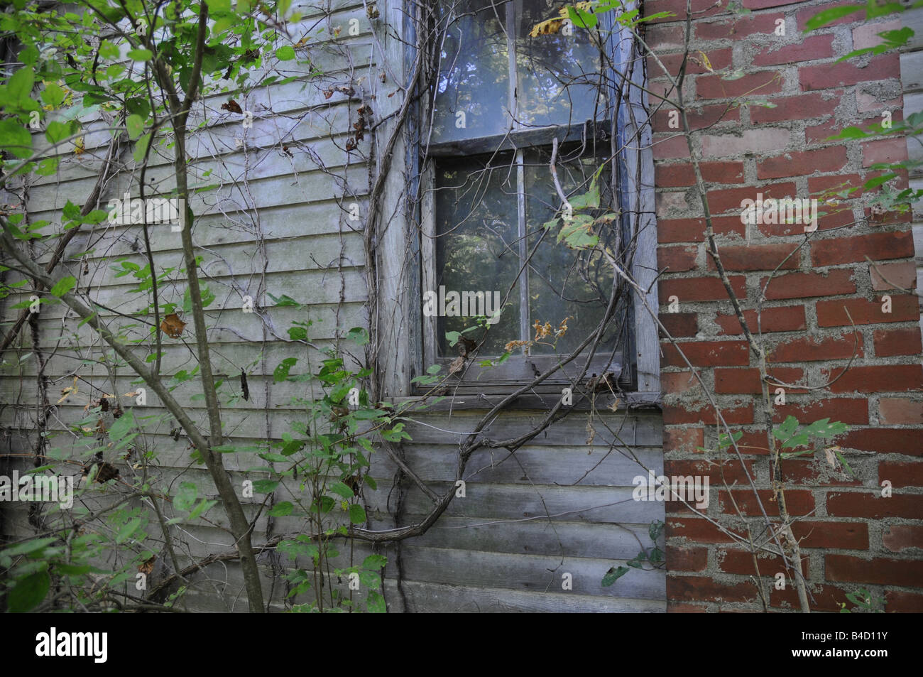 Old window at abandoned house Stock Photo - Alamy