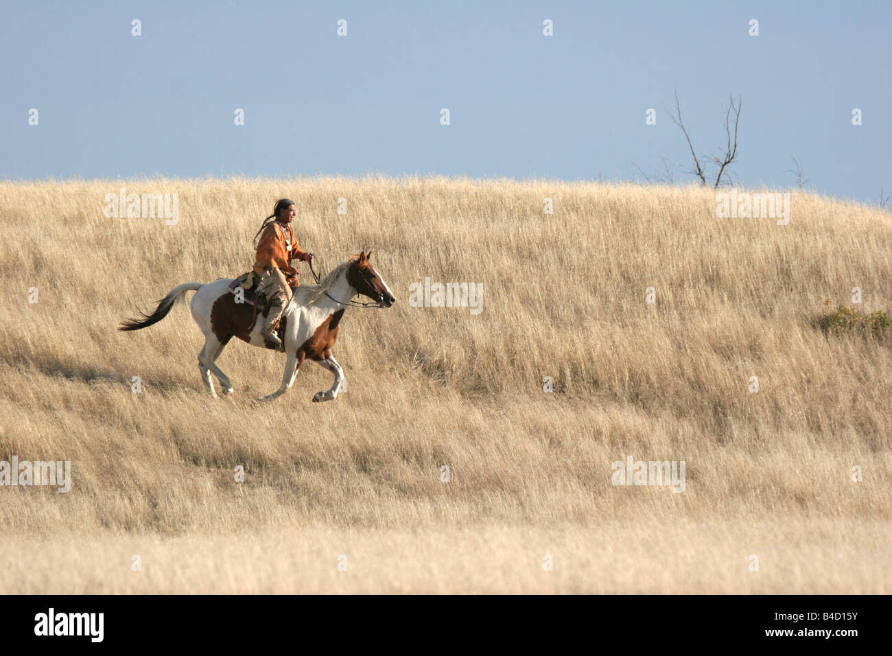 A Native American Lakota Indian riding horseback in the prairie of ...
