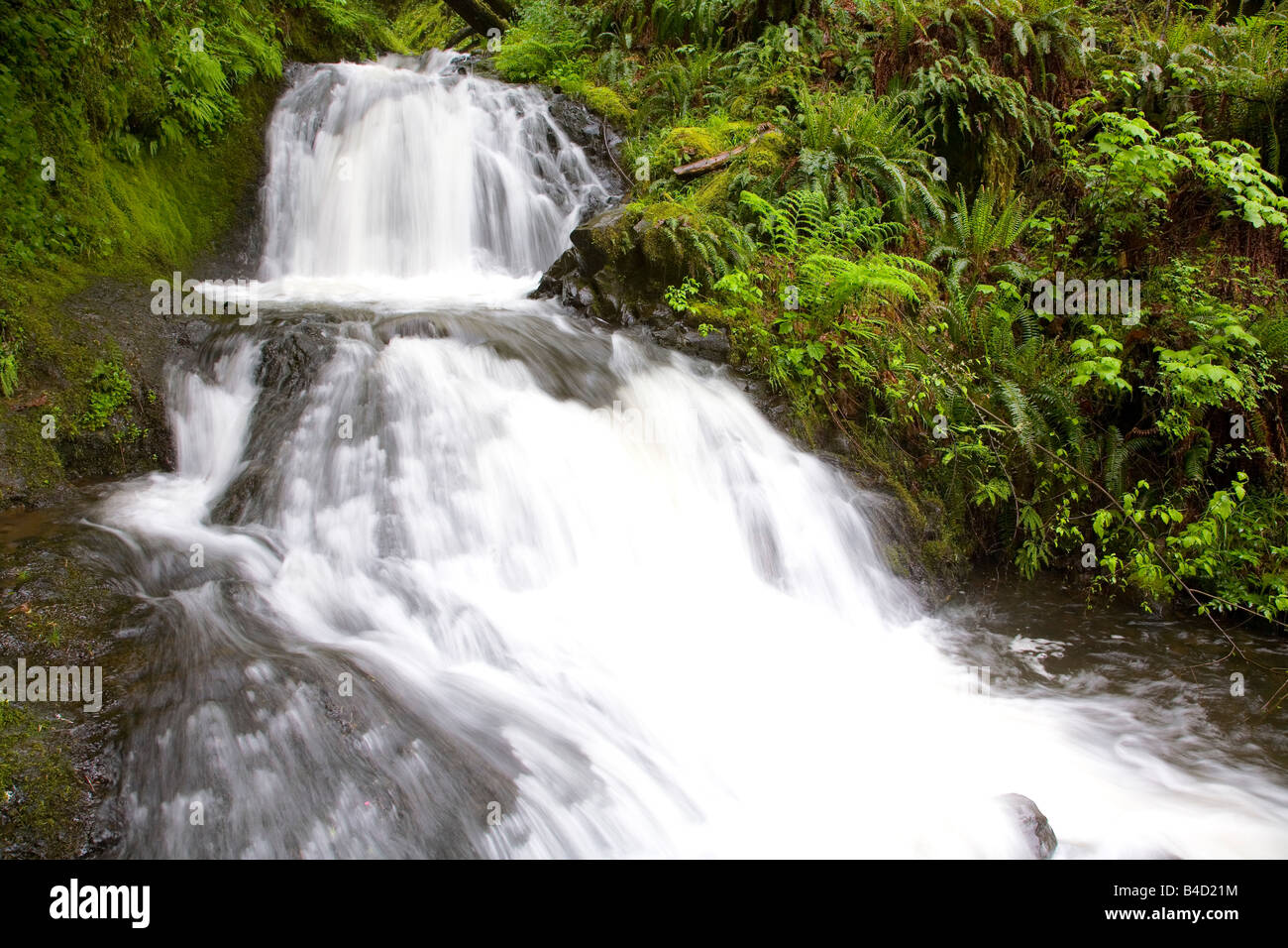 Waterfall, Columbia River Gorge, Oregon, United States of America Stock ...