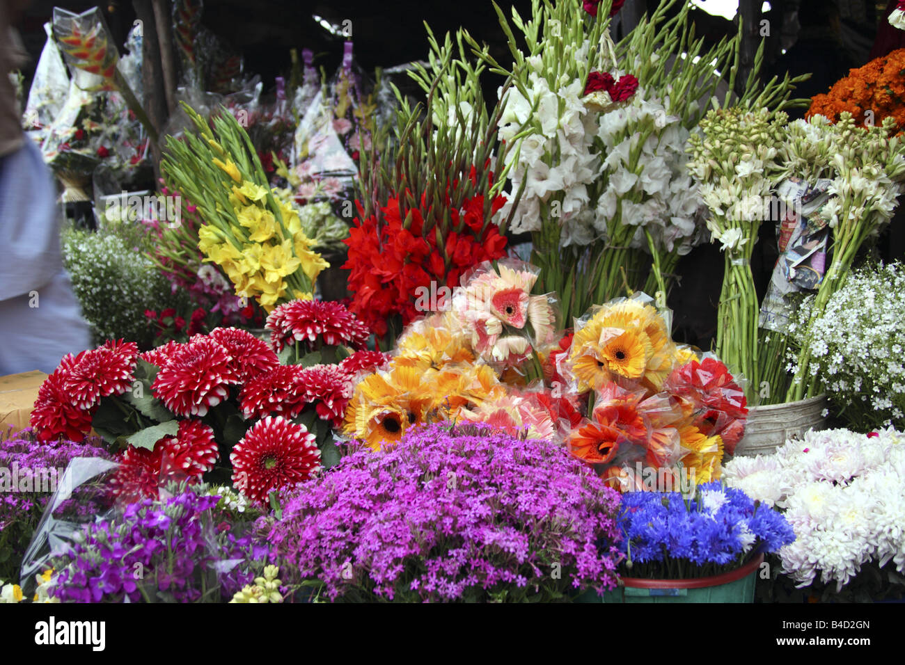 FLOWER SHOP IN DELHI INDIA Stock Photo - Alamy