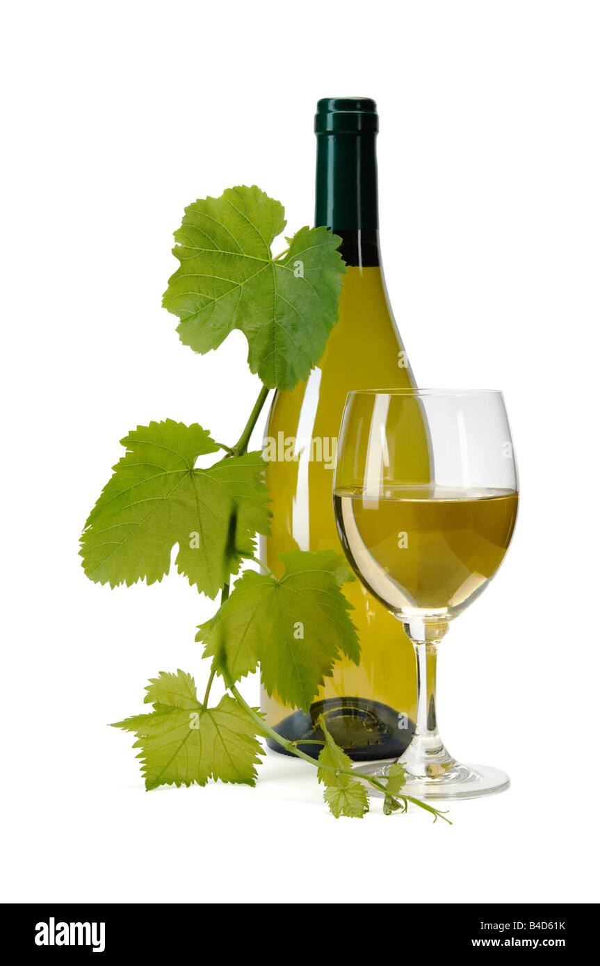 Still life. Glass of French chardonay white wine and bottle with grape ...