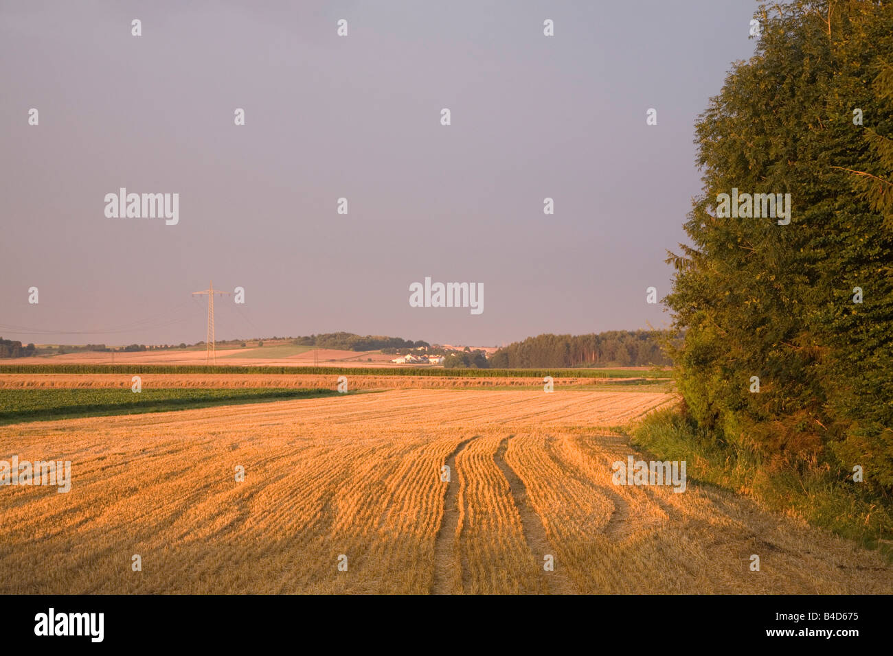 Kosching hi-res stock photography and images - Alamy