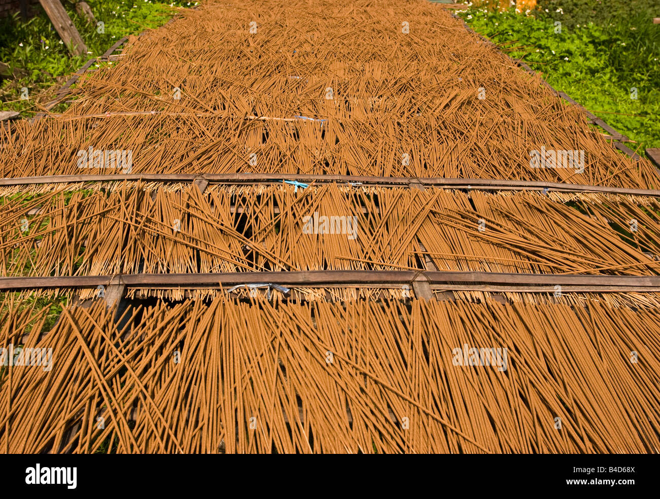 Freshly made incense drying and curing in the sun, Lugang, Taiwan ...