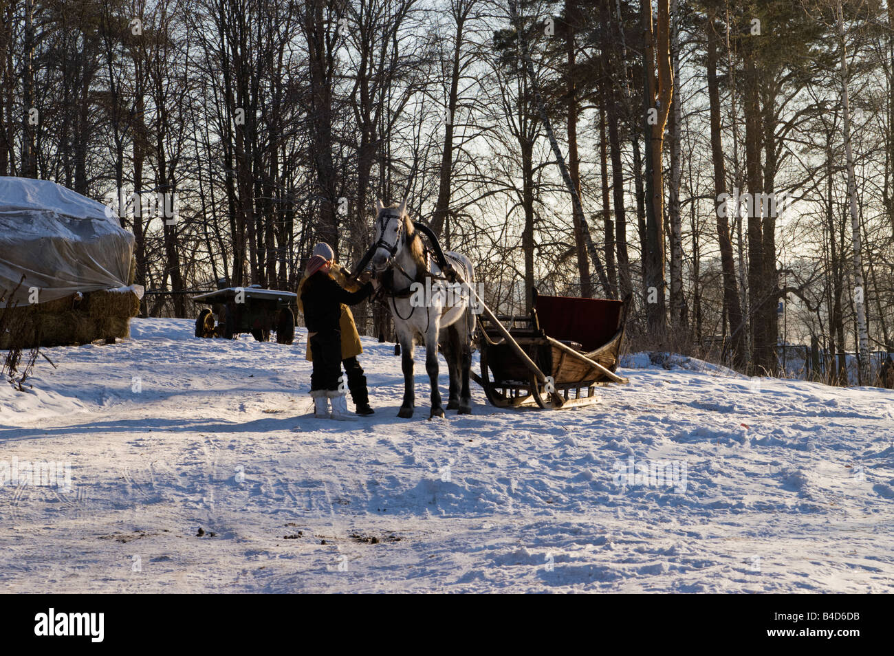 Sledge driving hi-res stock photography and images - Alamy