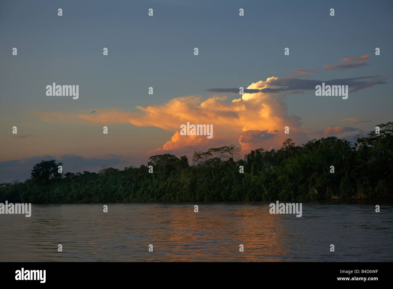Napo River, Amazon Rain Forest, Ecuador Stock Photo - Alamy