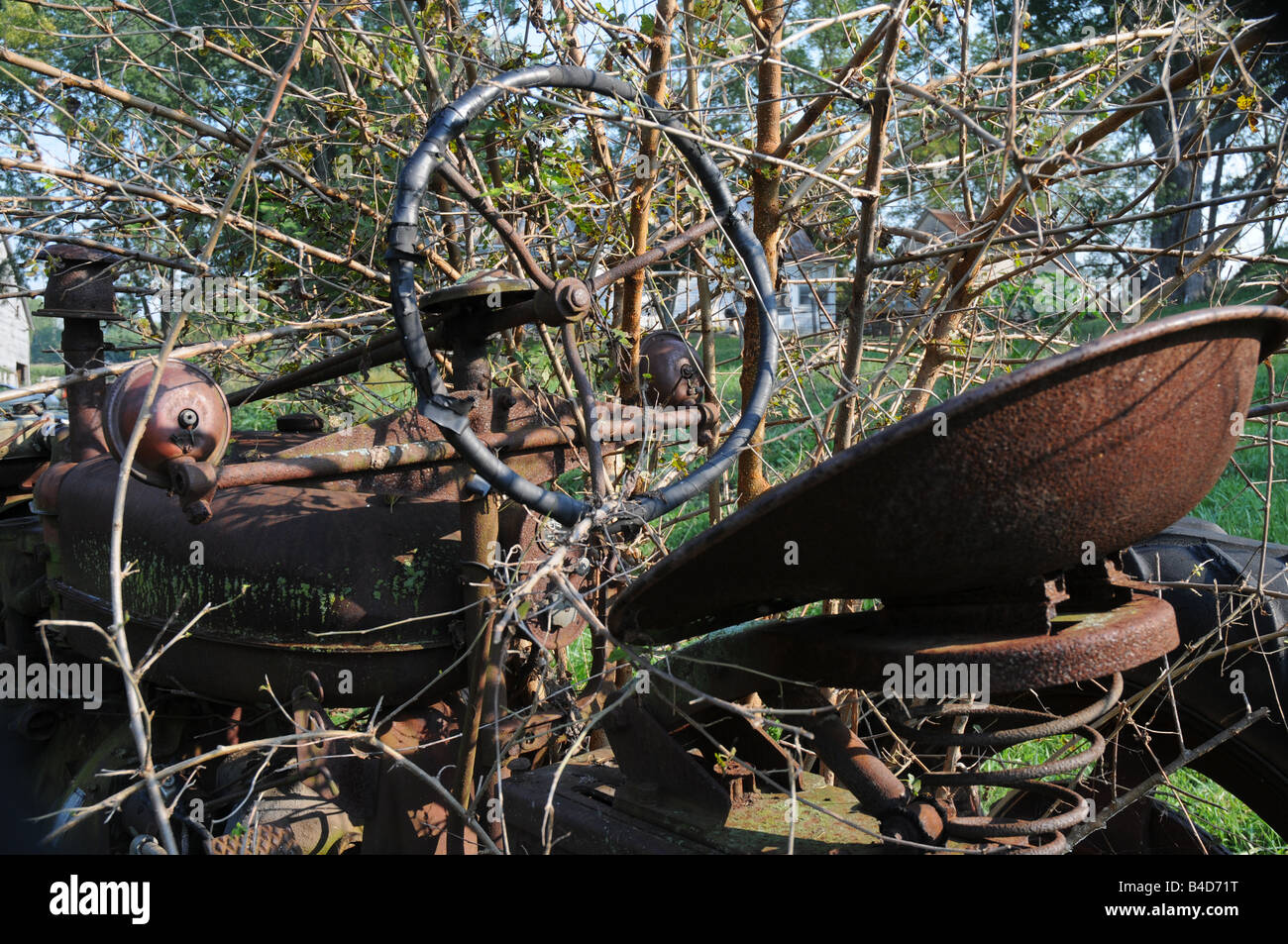 Old farm tractor retired and trees limbs growing into stearing wheel ...