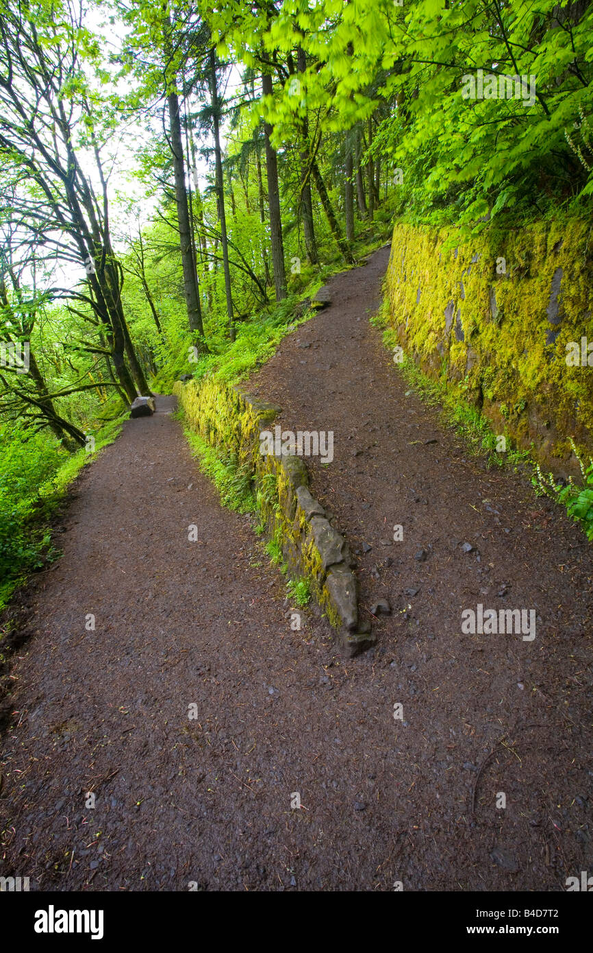 Pathway, Columbia River Gorge, Oregon, United States of America Stock ...