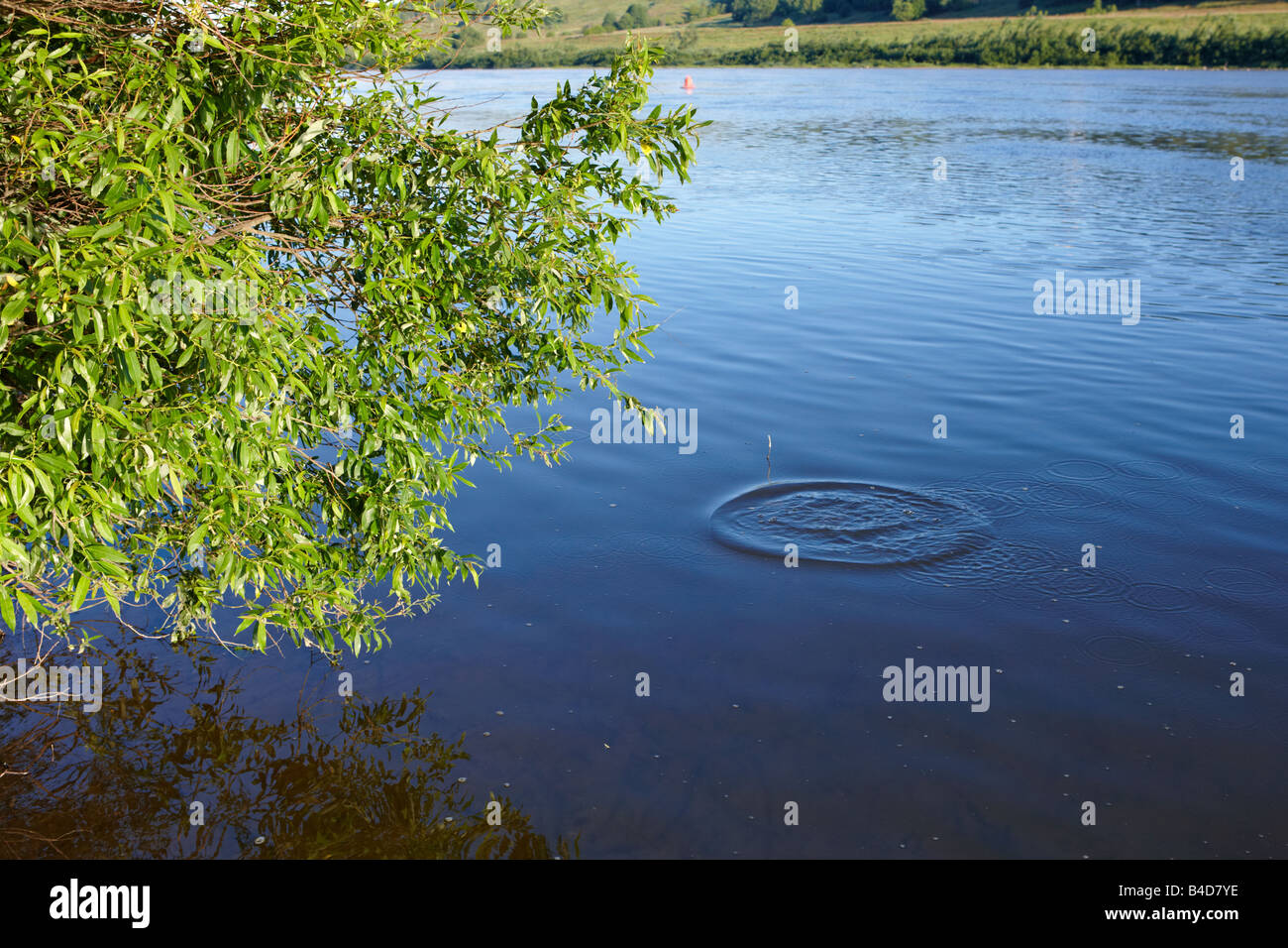 Ripples on the water. Oka river, Kaluga region, Central Russia Stock ...