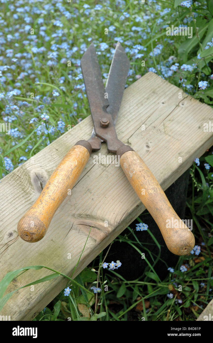 Vintage garden shears on bench allotment Highbury London England UK ...
