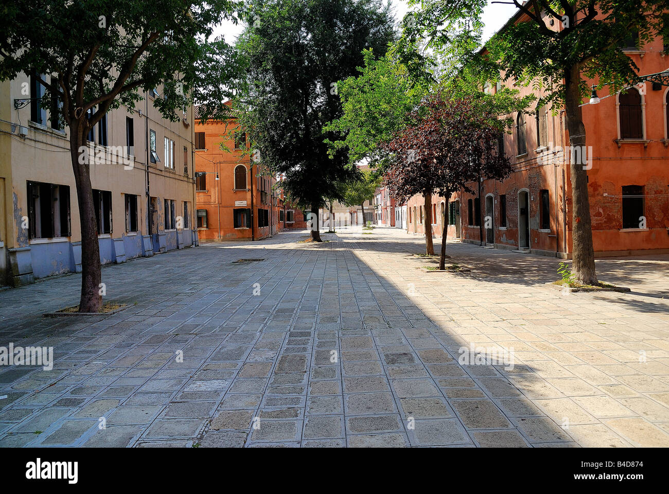 Trees planted italy hi-res stock photography and images - Alamy