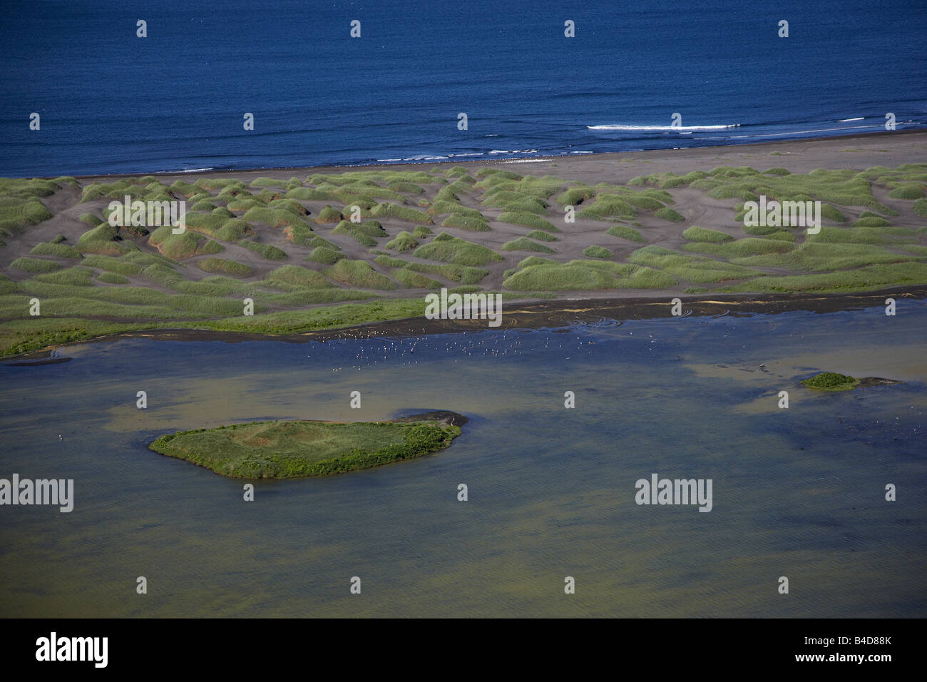Lava and moss on beach, Reykjanes Peninsula Iceland Stock Photo - Alamy