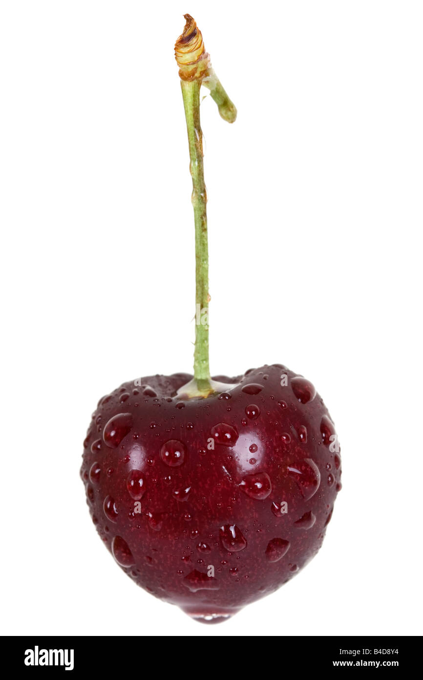 Fresh black cherry macro isolated on a white background Stock Photo - Alamy