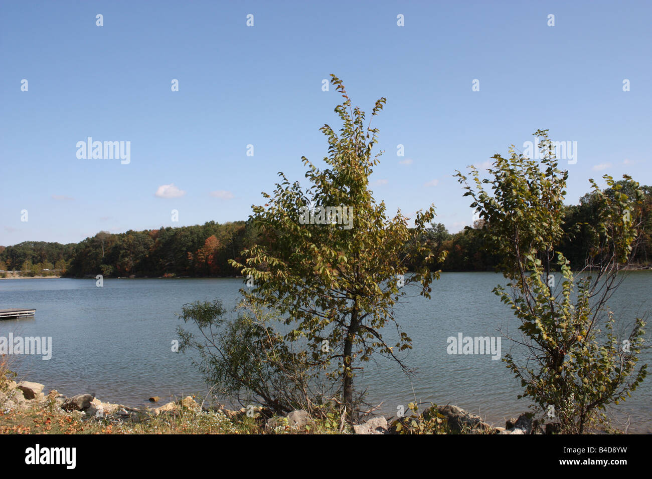 The lake shore hi-res stock photography and images - Alamy