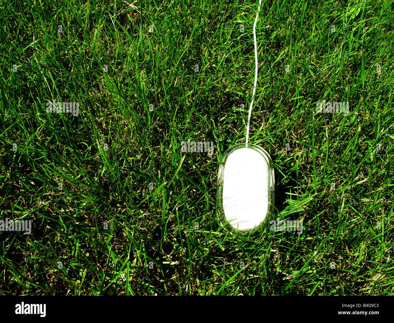 Tech summer design grass hi-res stock photography and images - Alamy