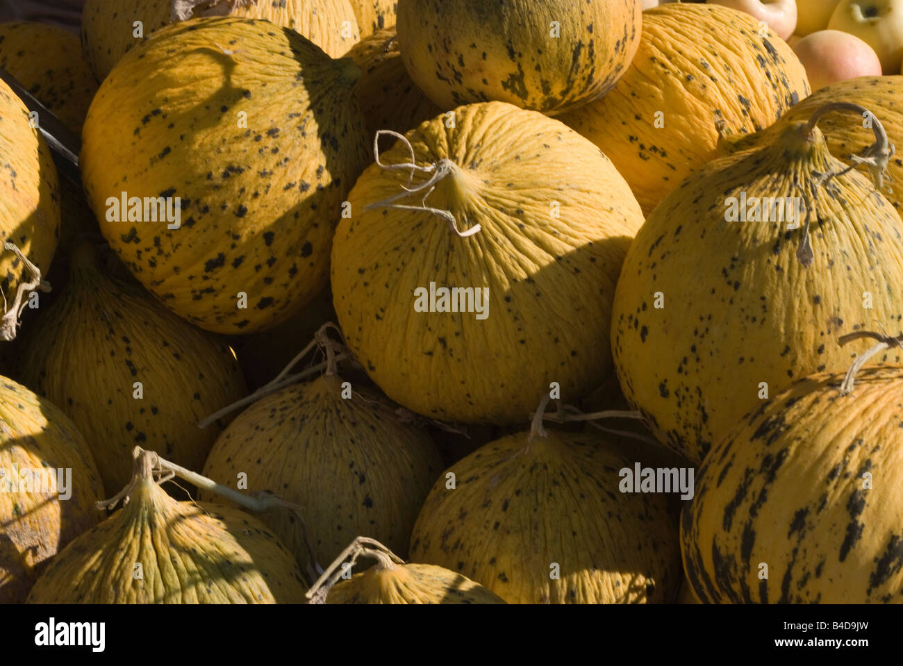 Sweet Fresh Yellow Melons for Sale at Lavrion Town Fruit and Vegetable ...