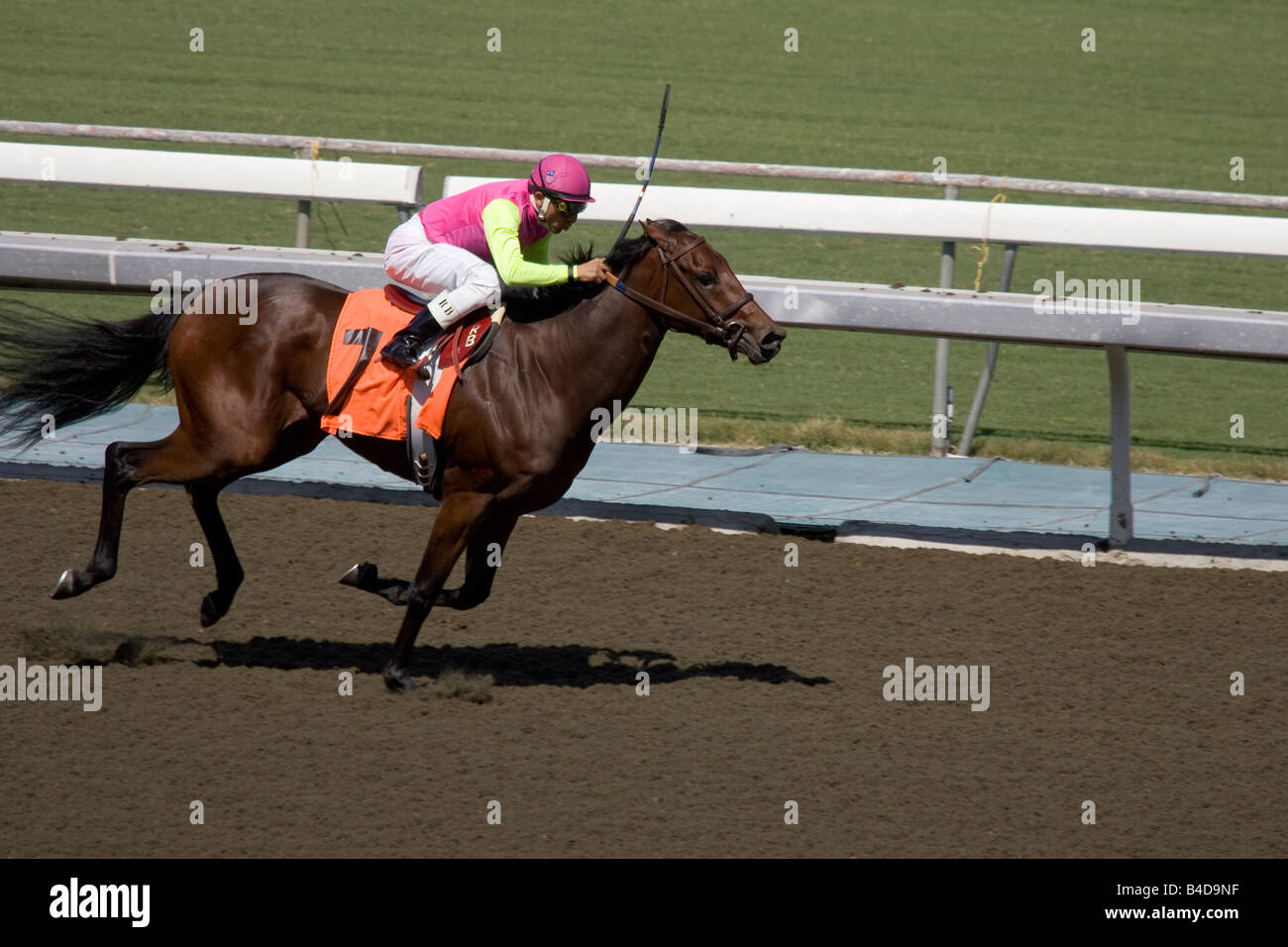 Gallop track hi-res stock photography and images - Alamy