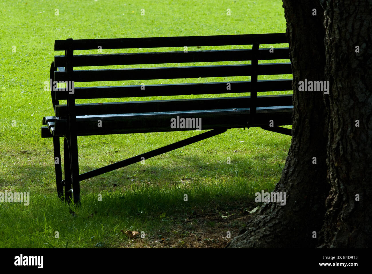 Bench under Tree Stock Photo - Alamy