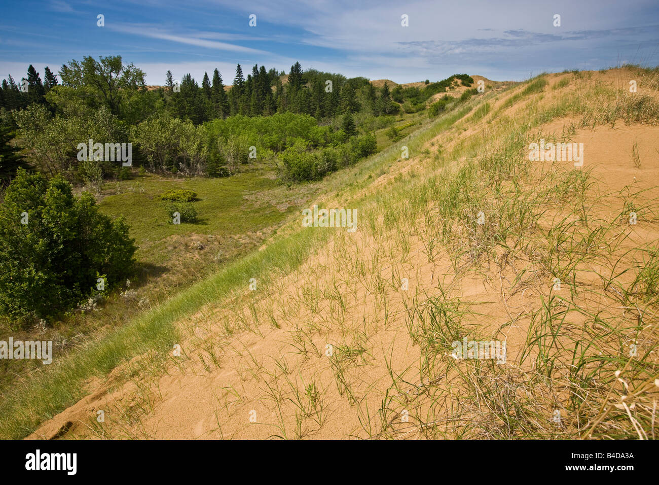 Spirit Sands trail, Spruce Woods Provincial Park, Manitoba, Canada ...