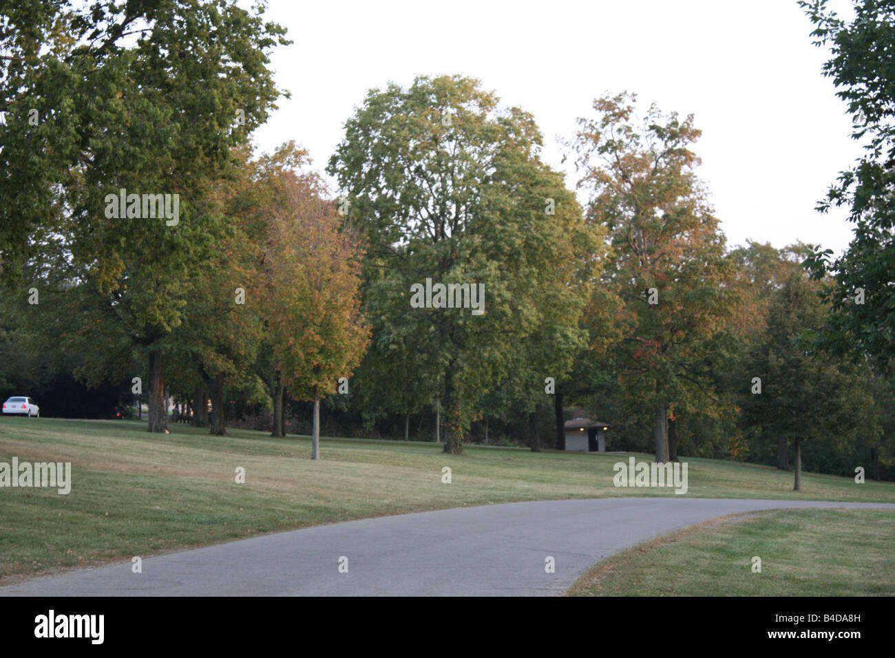 Nature, park, start of fall season, evening, walkway Stock Photo - Alamy