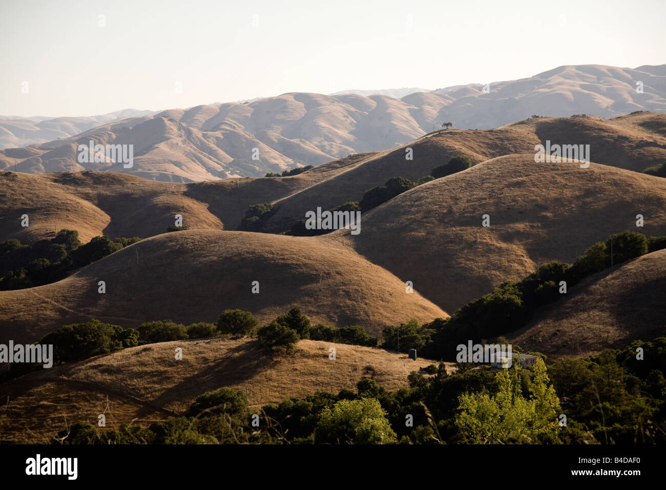 Mission Peak Regional Preserve High Resolution Stock Photography and ...