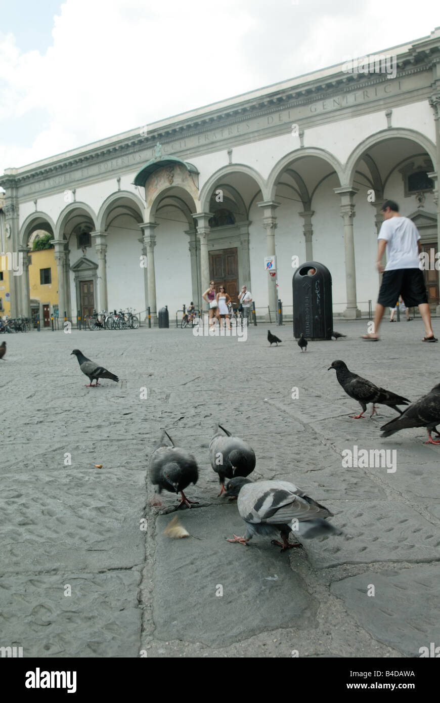 Pigeons on a square in the historic city centre of Florence, Italy ...