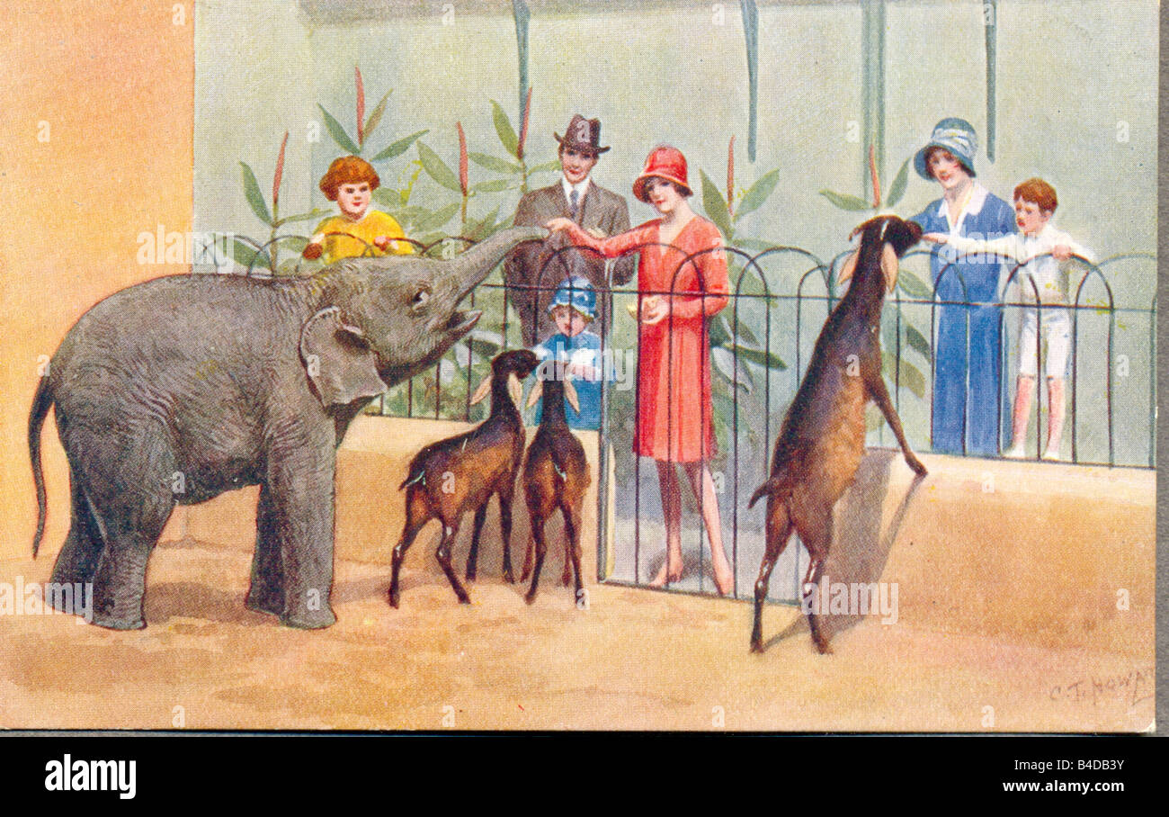 Zoo picture hi-res stock photography and images - Alamy