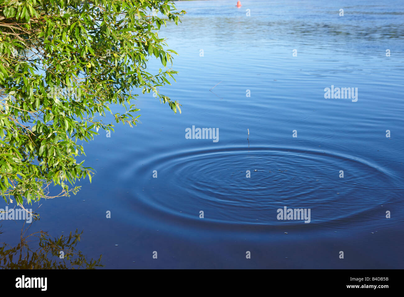Ripples on the water. Oka river, Kaluga region, Central Russia Stock ...