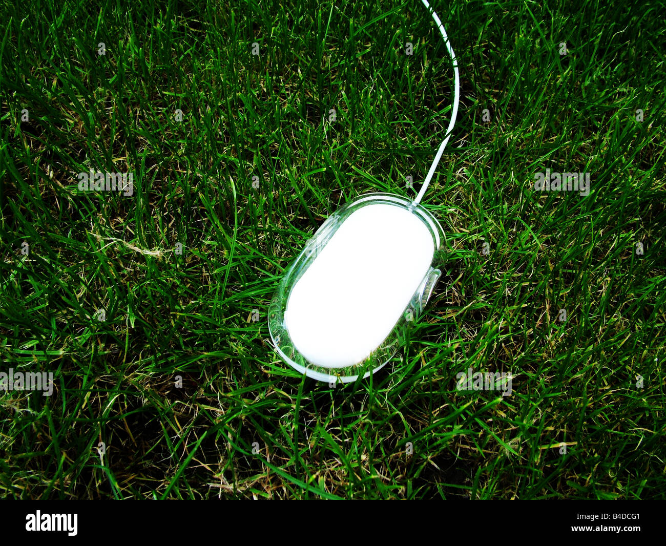 Intellimouse hi-res stock photography and images - Alamy