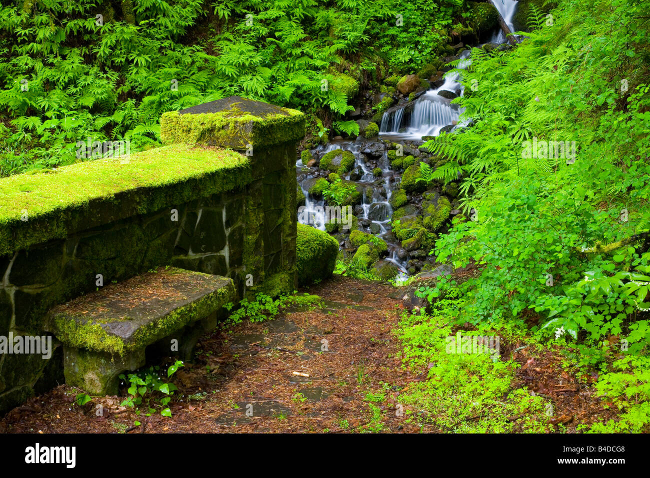 Stone wall, Columbia River Gorge, Oregon, United States of America ...