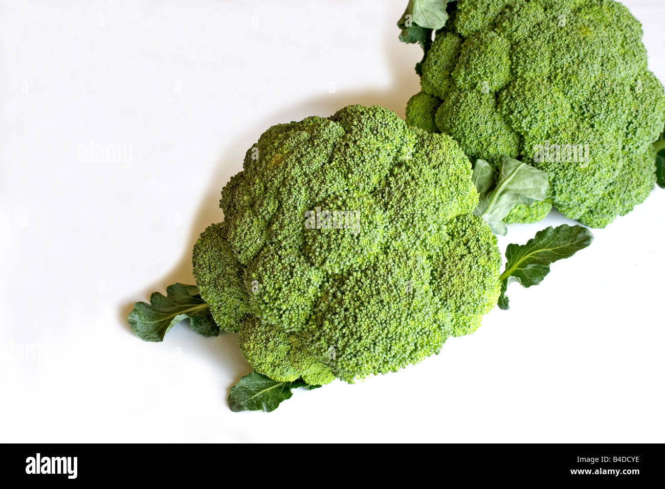 Broccoli close up Stock Photo - Alamy