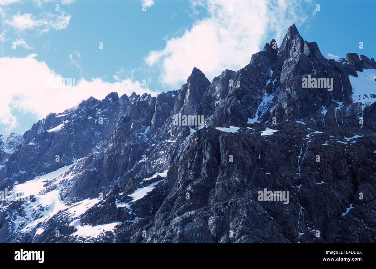 South georgia island cliff hi-res stock photography and images - Alamy