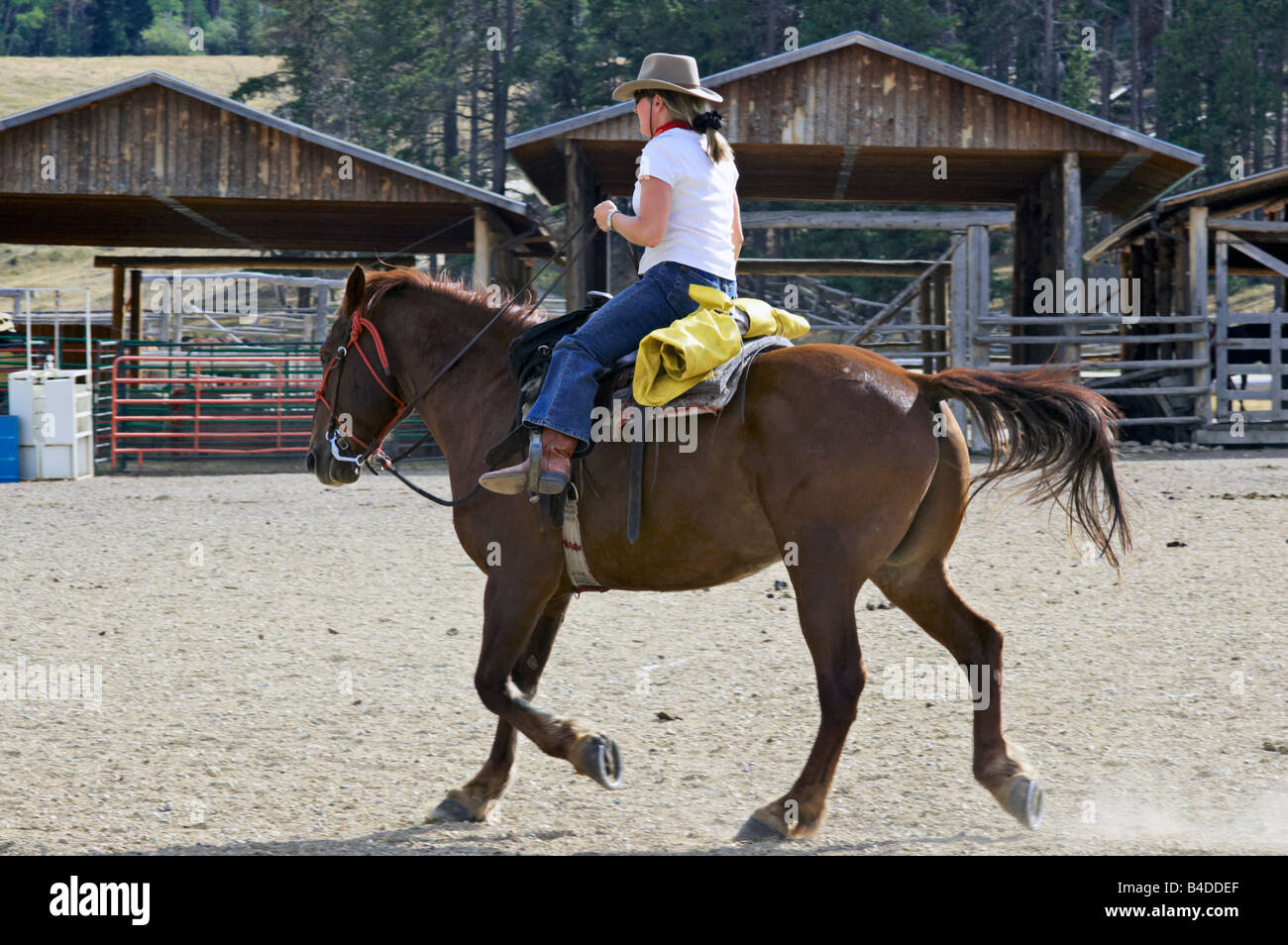American dude ranch hi-res stock photography and images - Alamy