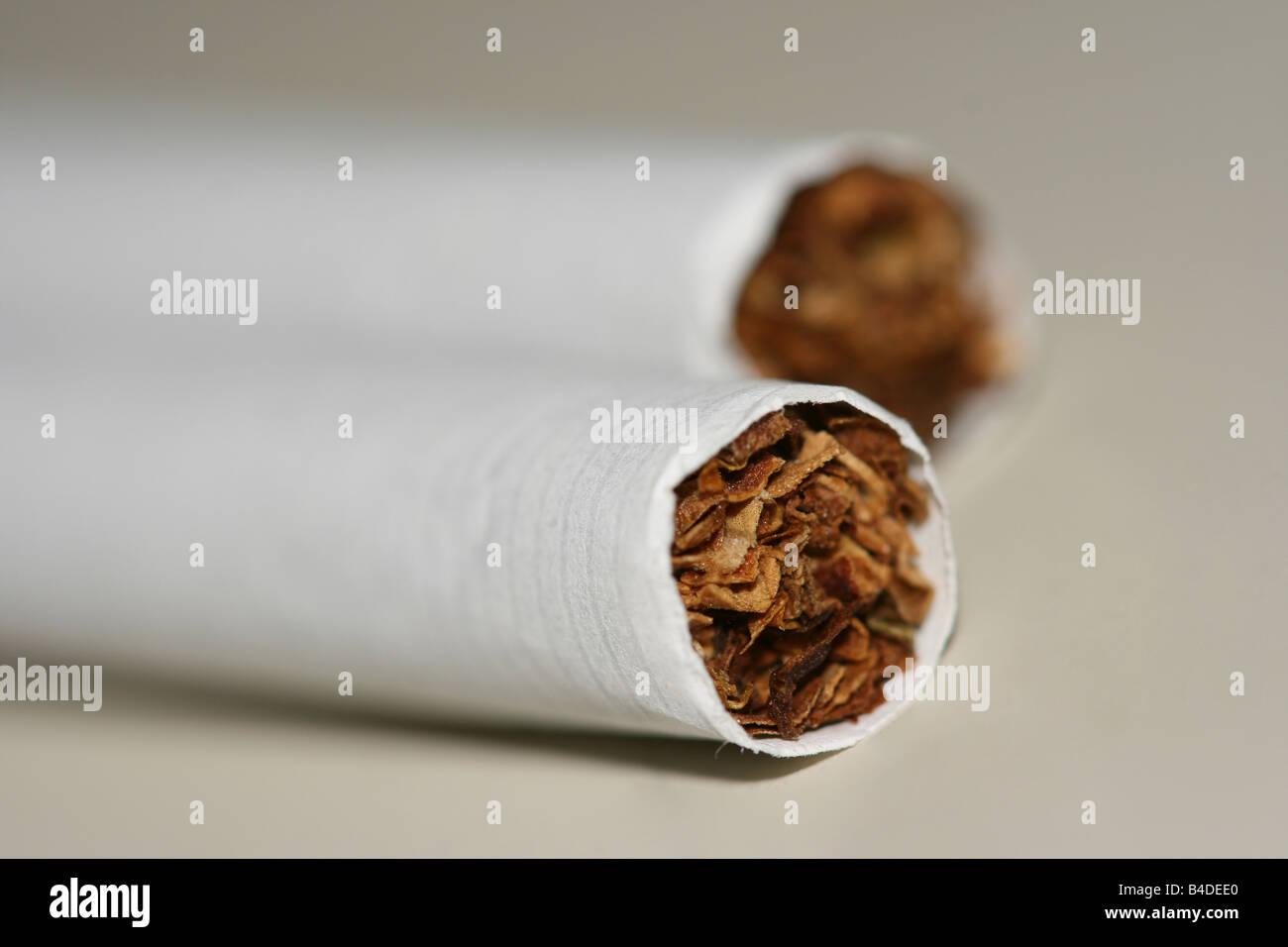 two cigarettes detail macro defocus background Stock Photo - Alamy