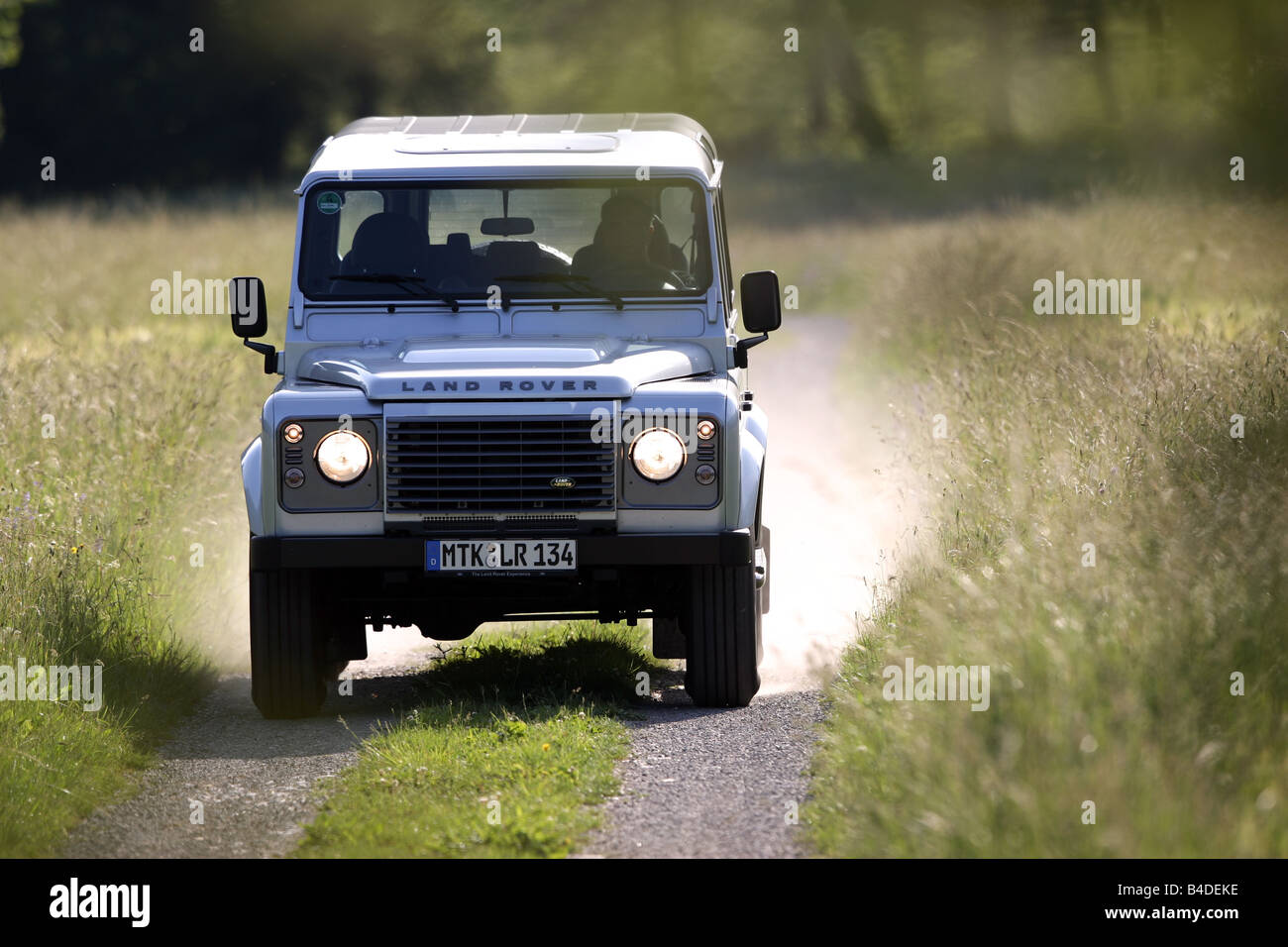 Land Rover Defender 110 TD4 Station SE, model year 2007-, silver ...