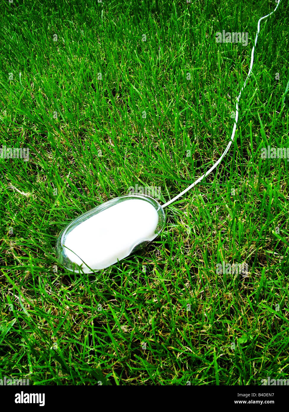 Intellimouse hi-res stock photography and images - Alamy